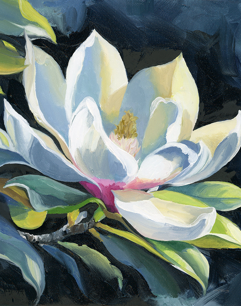 Midnight Magnolia, original oil painting, 10x10 – Tony Thomas Art